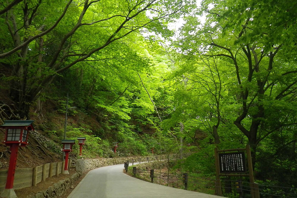 Trail 1 | Trails | Mt. Takao Magazine
